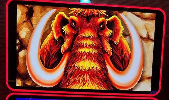 Come Play Over 900 Slot Machines at Casino Arizona